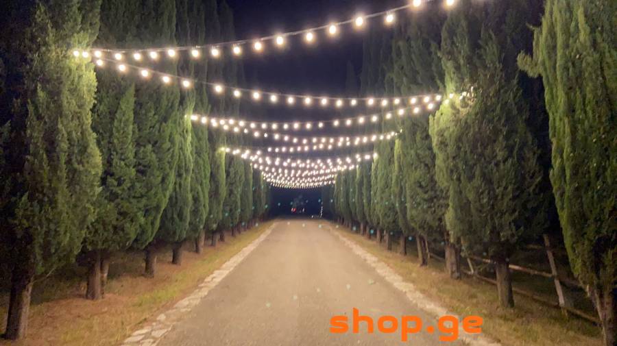 სკამები მაგიდების გაქირავება